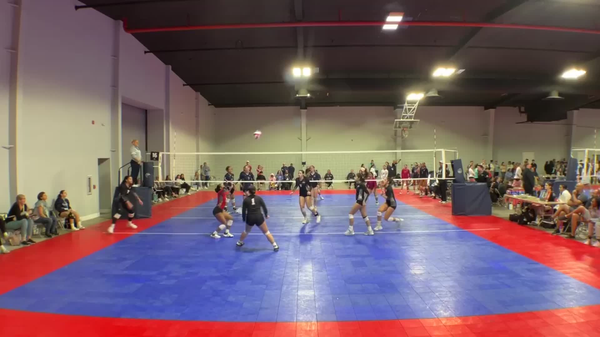 2024 TAMIAMI OPEN ASSISTS - Destiny Wiggins highlights - Hudl