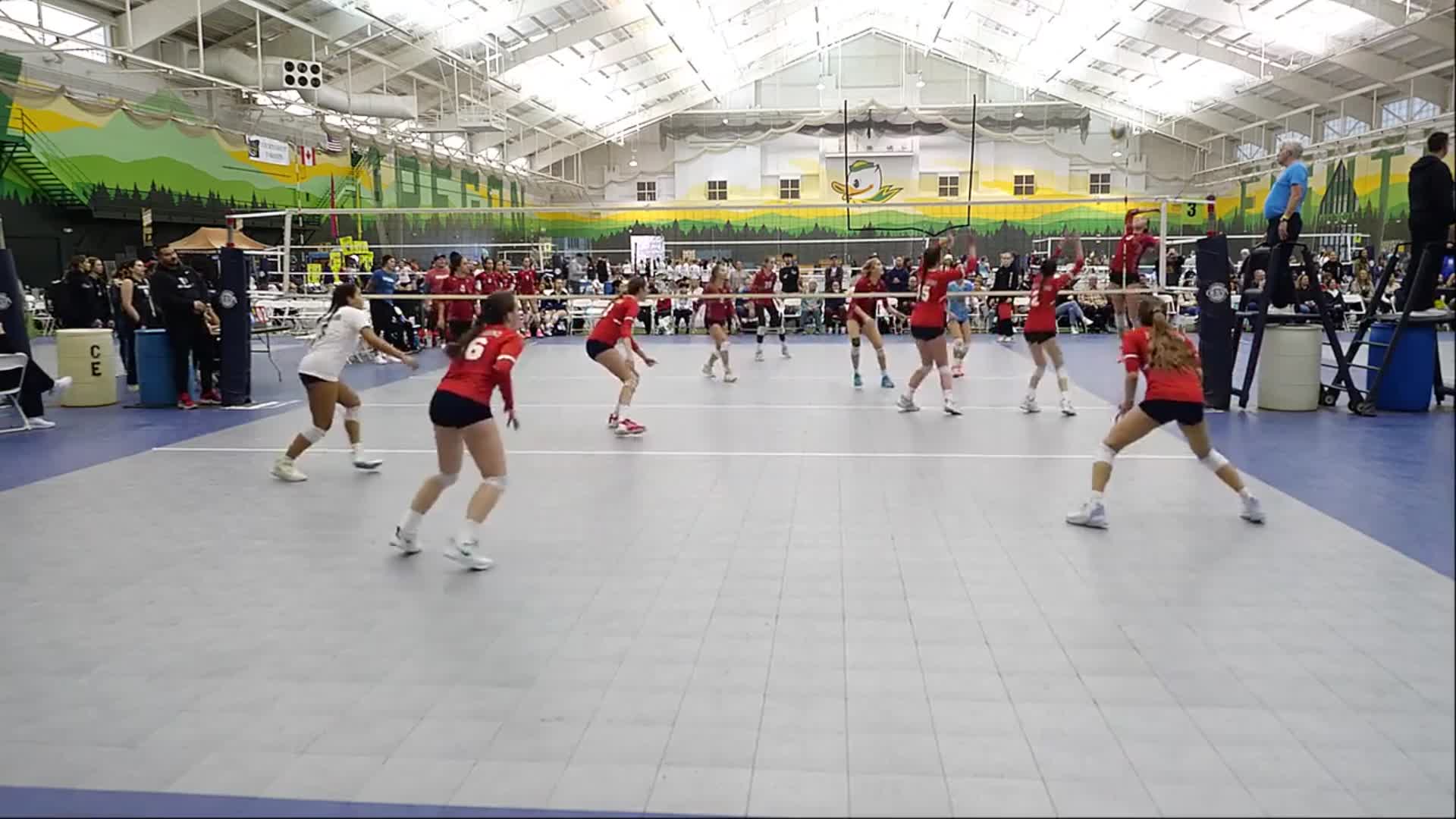 DaKine Volleyball Club - Layne Dent highlights - Hudl