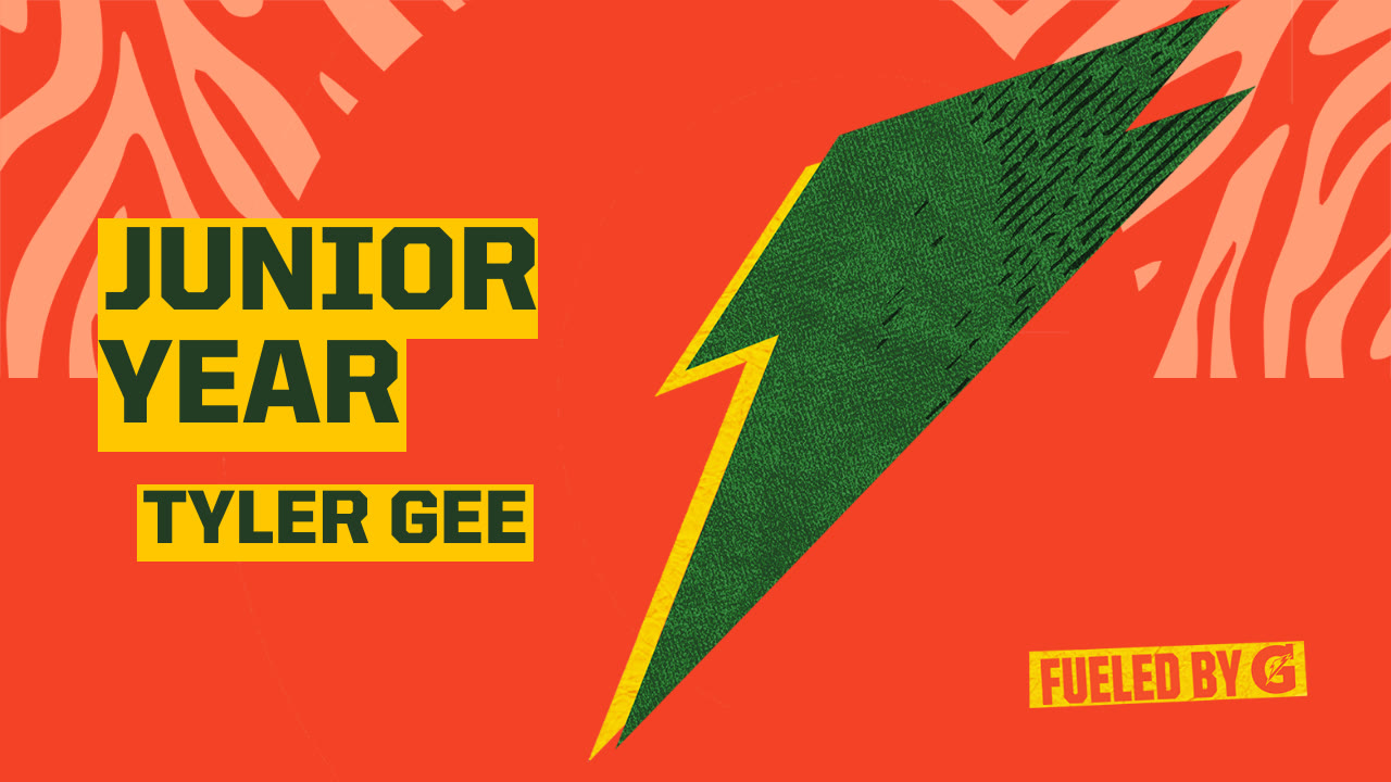 Junior Year - Tyler Gee highlights - Hudl