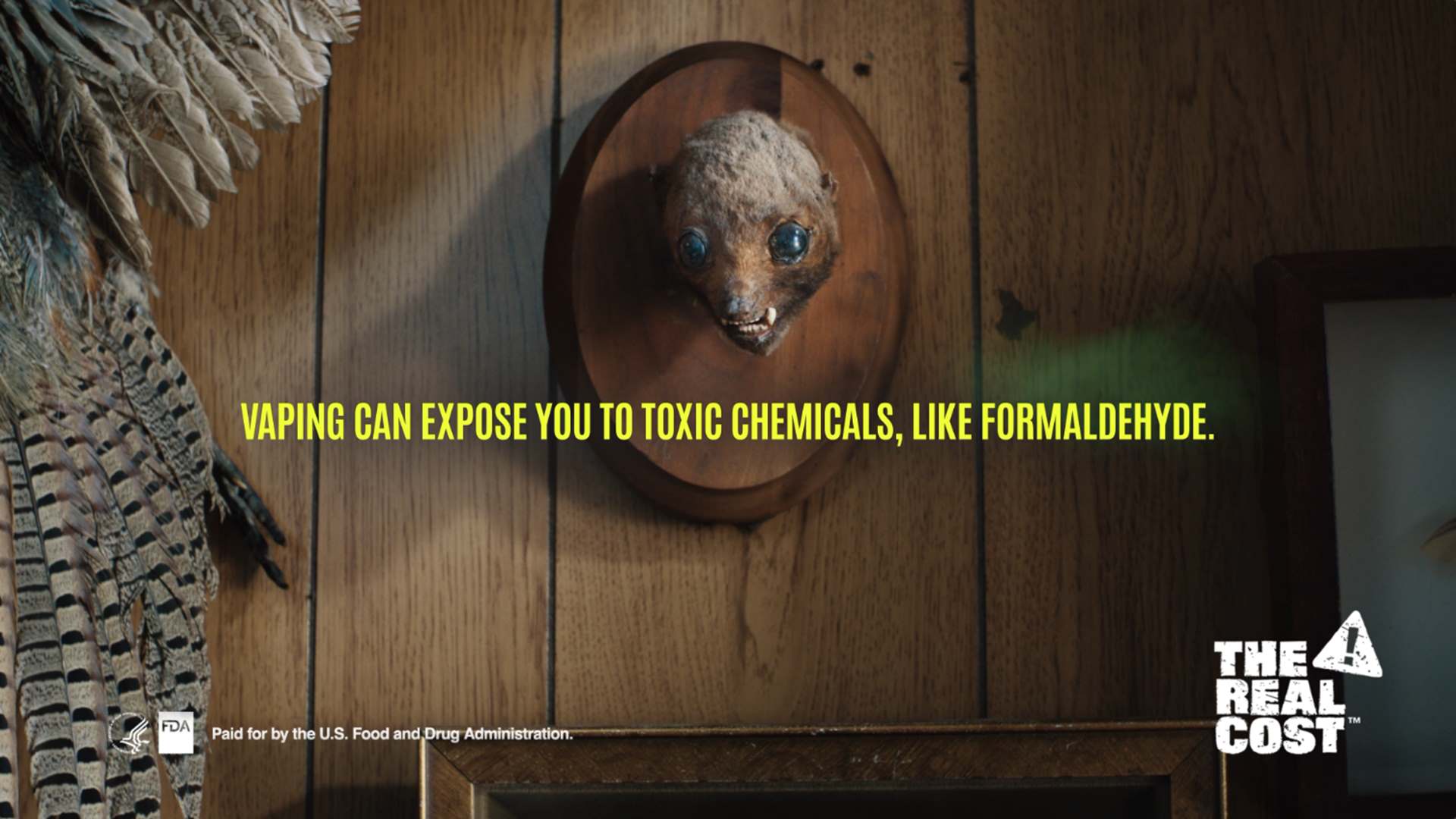 The Real Cost - The Real Cost highlights - Hudl