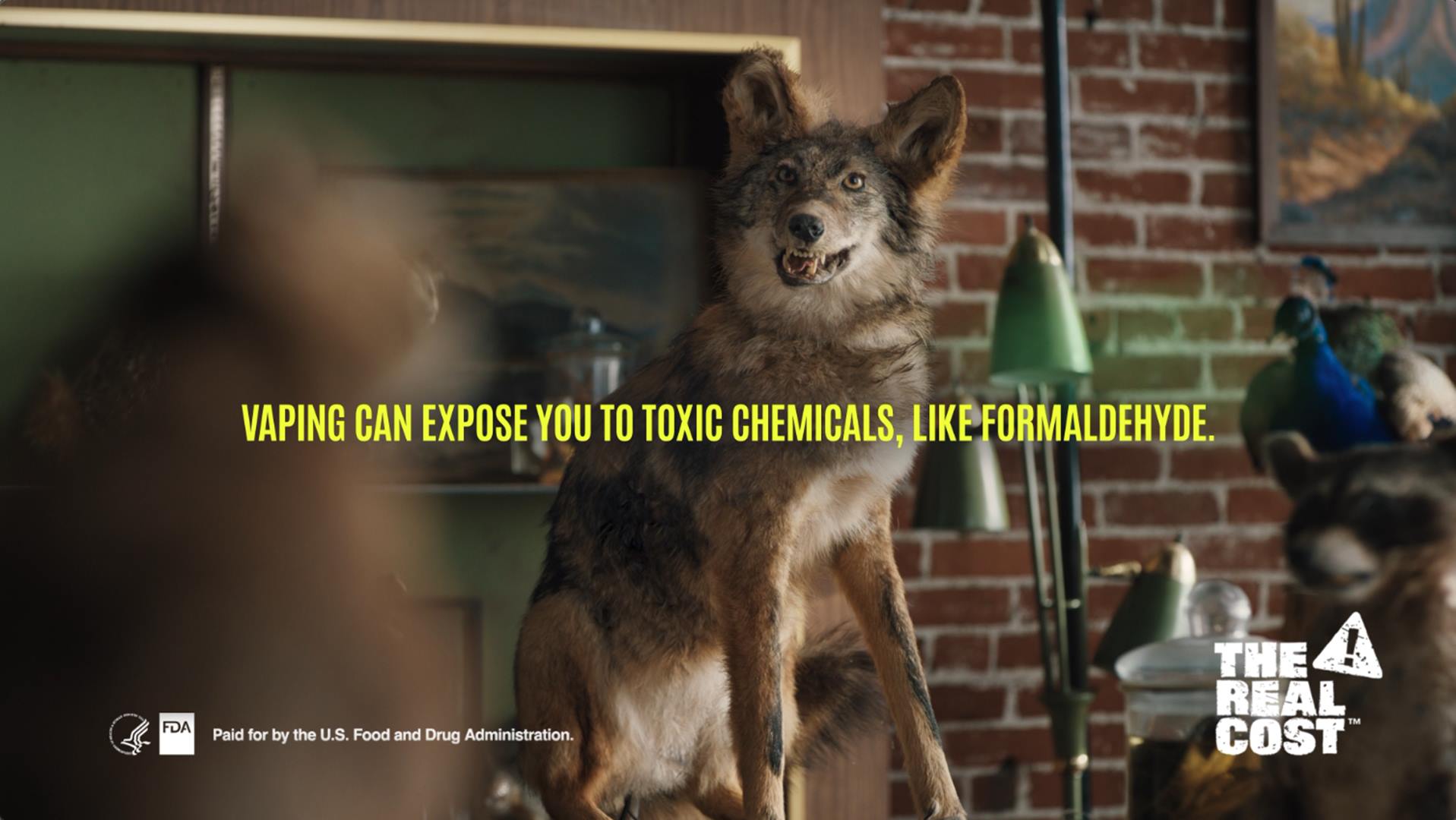 The Real Cost - The Real Cost highlights - Hudl