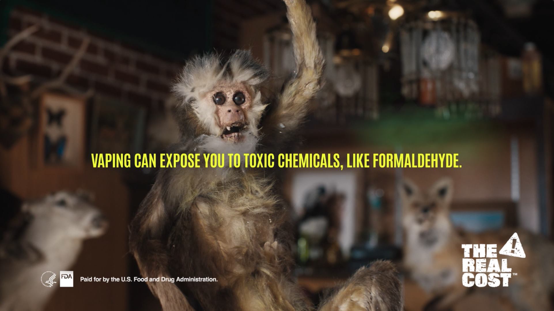 The Real Cost - The Real Cost highlights - Hudl